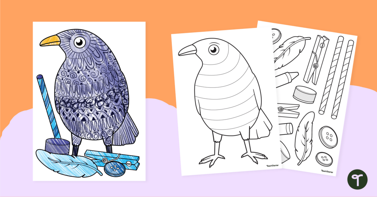 Funky Bowerbird Template Teach Starter