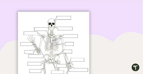 Personal Social Community Health Worksheets For Teachers Teach Starter