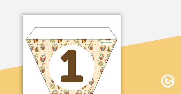 Owls Pattern - Letters and Number Bunting | Teach Starter
