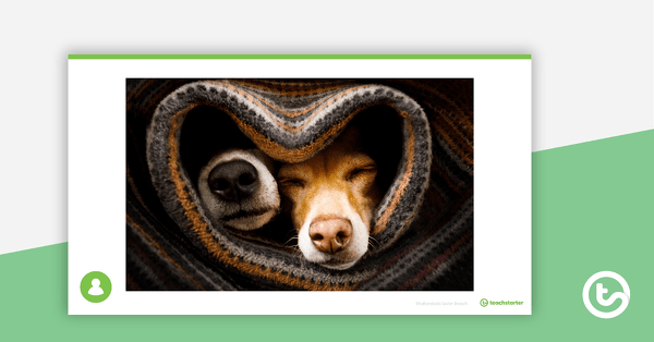 True or False Listening Activity | Teach Starter