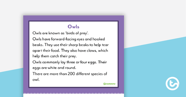 Informative Writing Bump It Up Wall – Year 4 | Teach Starter