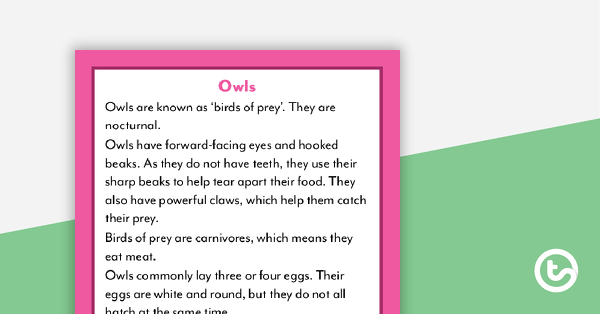 Informative Writing Bump It Up Wall – Year 4 | Teach Starter