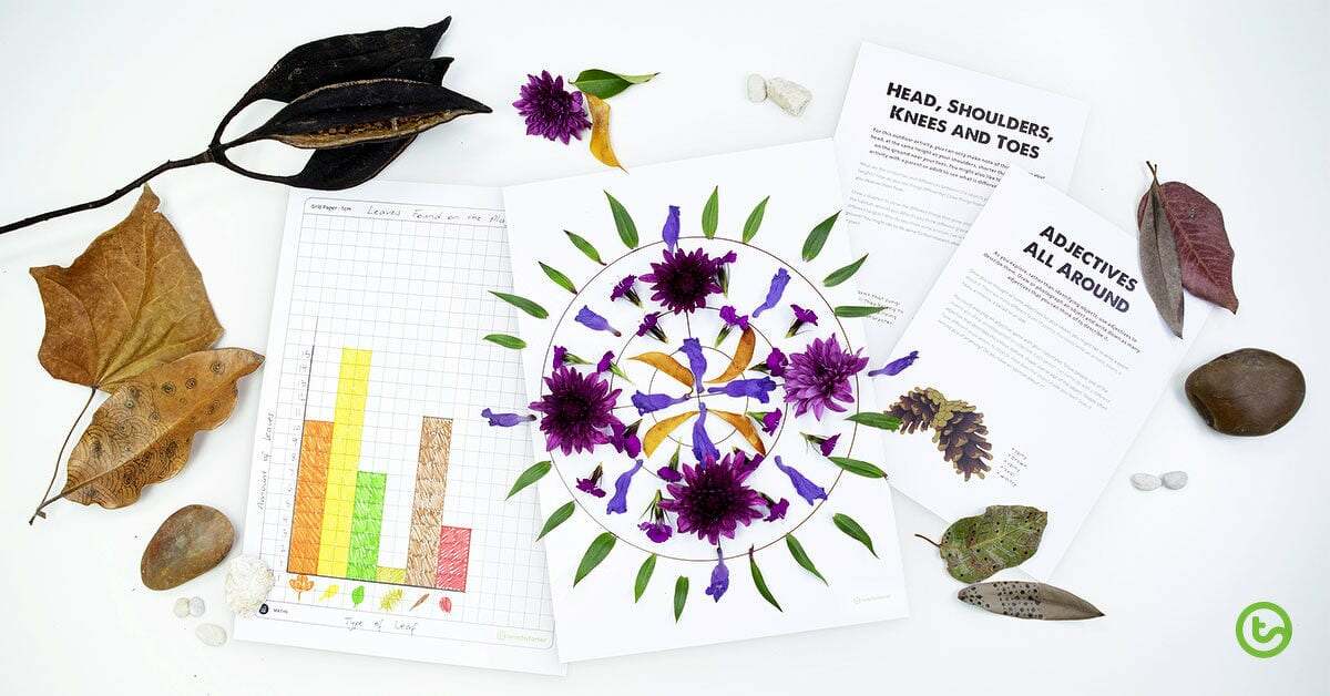 Using Natural Resources in the Classroom - Learning with Nature | Teach ...