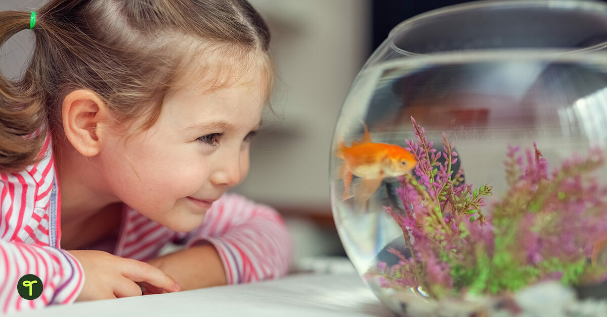Top Ten Best Classroom Pets at Matilda Patrick blog