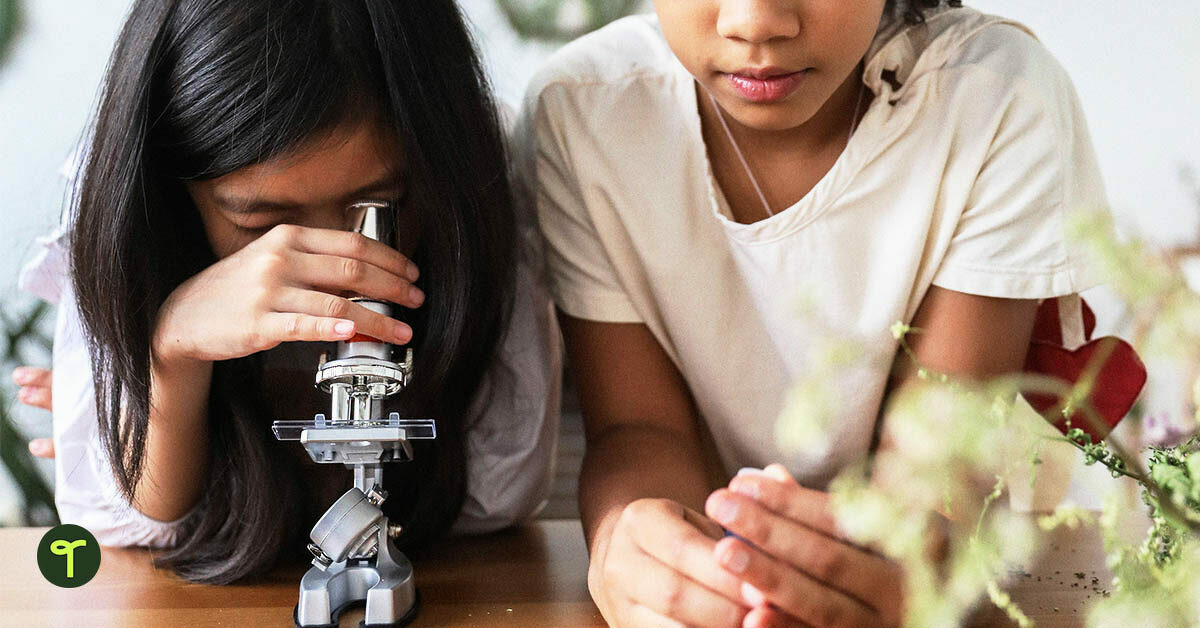 Citizen Science in the Classroom | Inspiring Ideas and Resources ...