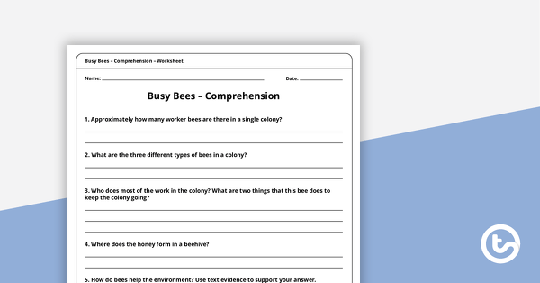Comprehension - Busy Bees | Teach Starter