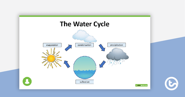 Living Things Need Water PowerPoint | Teach Starter